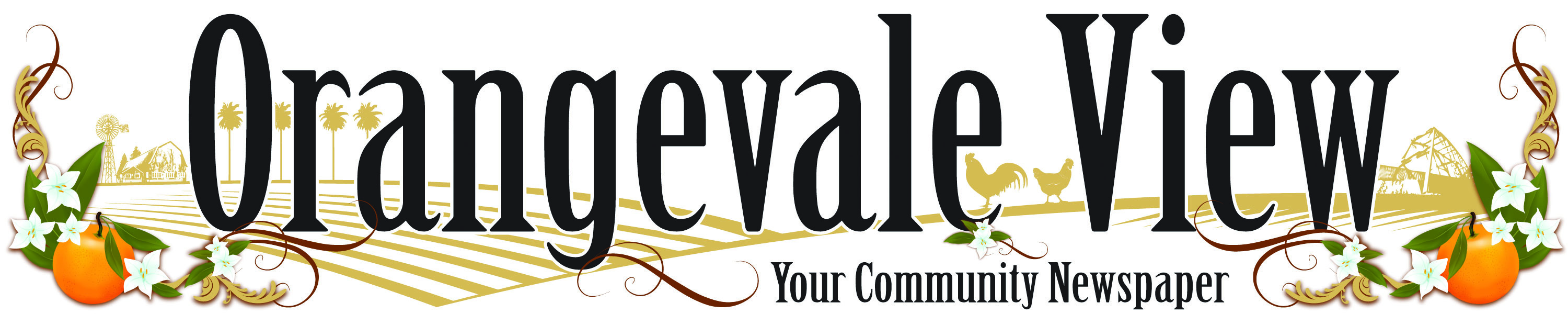 Event Info & Guidelines - Best of Orangevale 2020